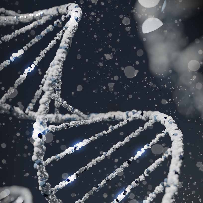 BioAi，以Ai为核心，重构生命科学，让我们一起进步，keep move on。